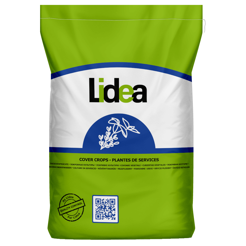 Lidea Zwischenfrucht LIDCOVER NITRO 2.0