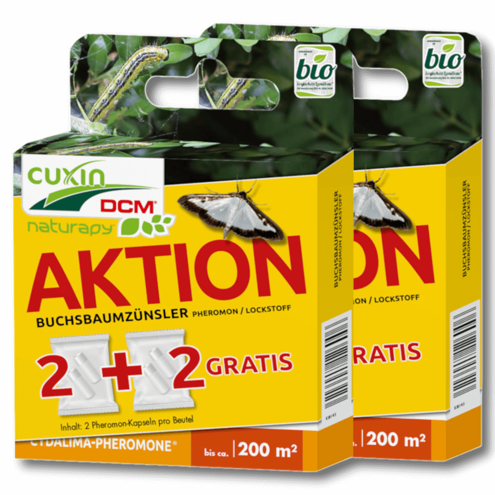 Cuxin DCM Naturapy Buchsbaumzünsler Pheromon