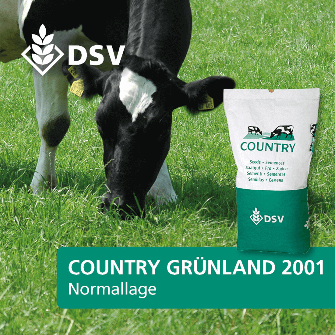 DSV COUNTRY Grünland 2001 Nachsaat Normallage