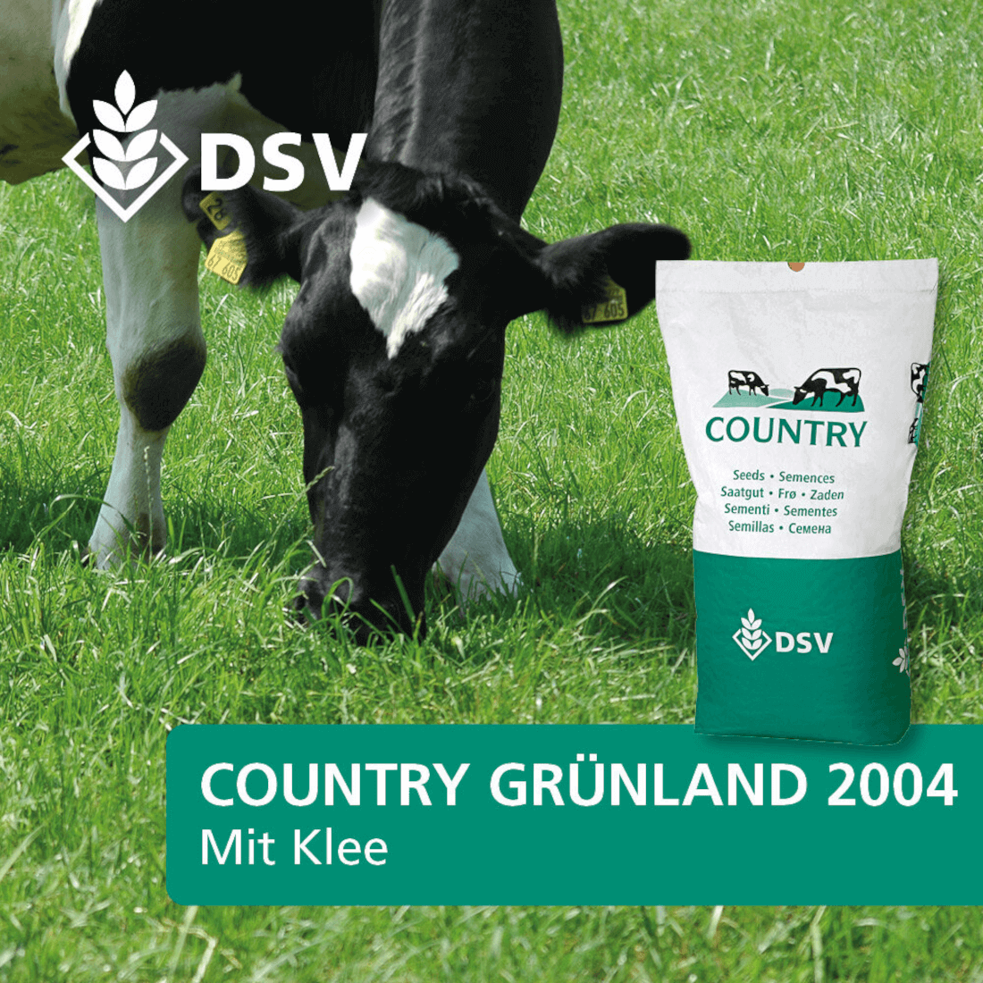 DSV COUNTRY Grünland 2004 Nachsaat mit Klee