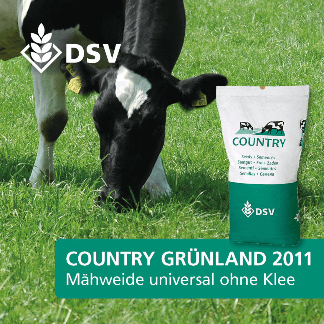 DSV COUNTRY Grünland 2011 Mähweide universal ohne Klee