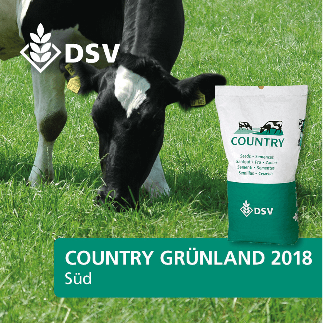 DSV COUNTRY Grünland 2018 Süd