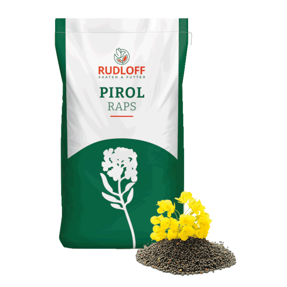 Rudloff Winterraps Saatraps PIROL ÖKO